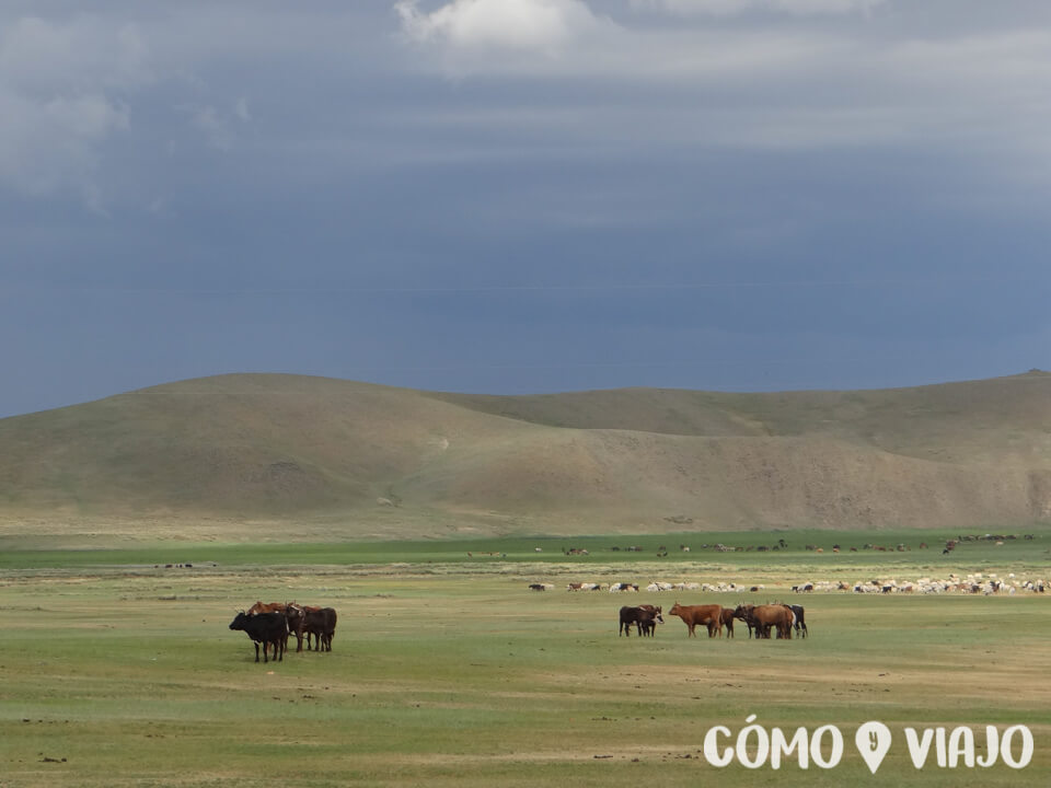 Conocer Mongolia | CómoyViajo